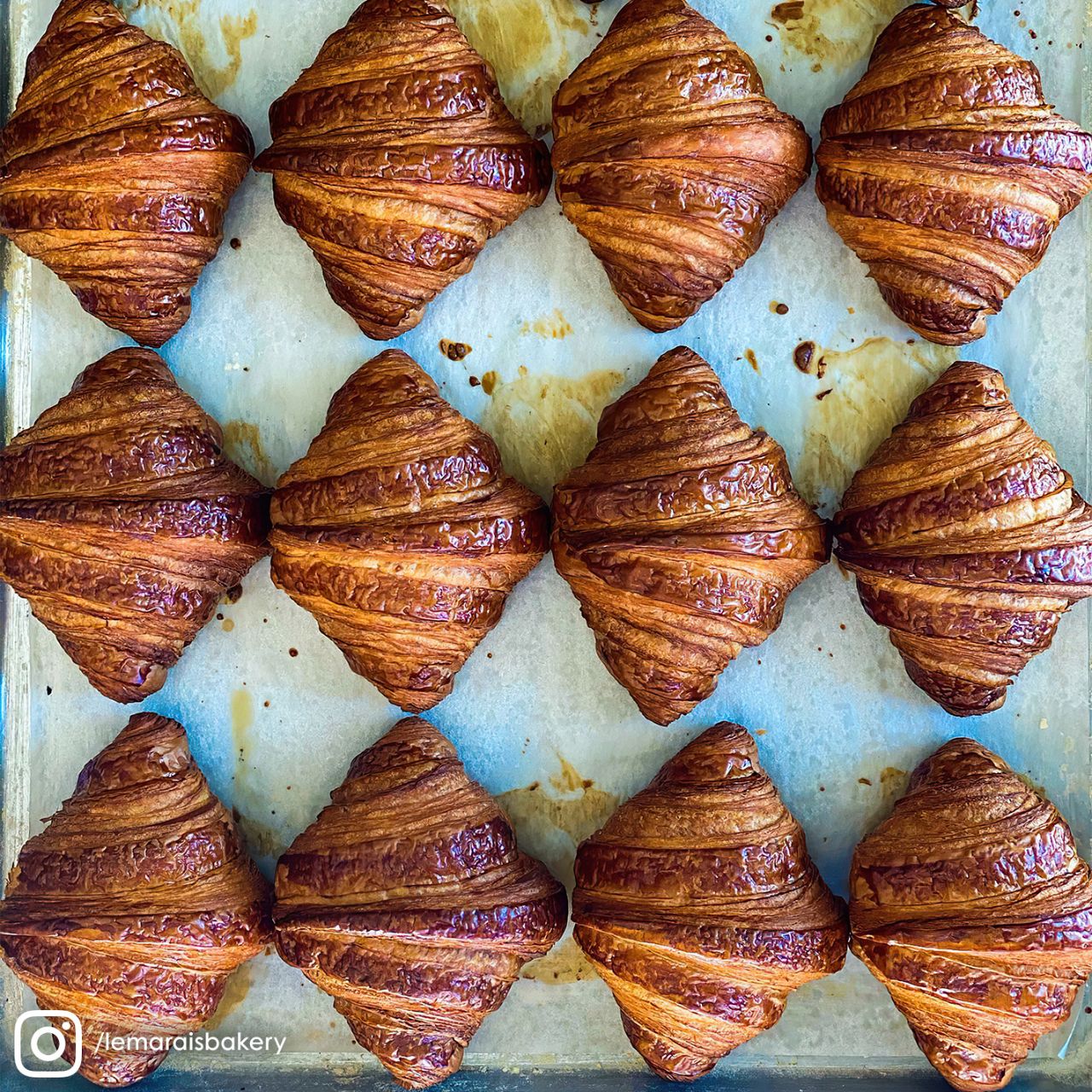 9 bakers that lead the way on TikTok and Instagram - Taste Tomorrow