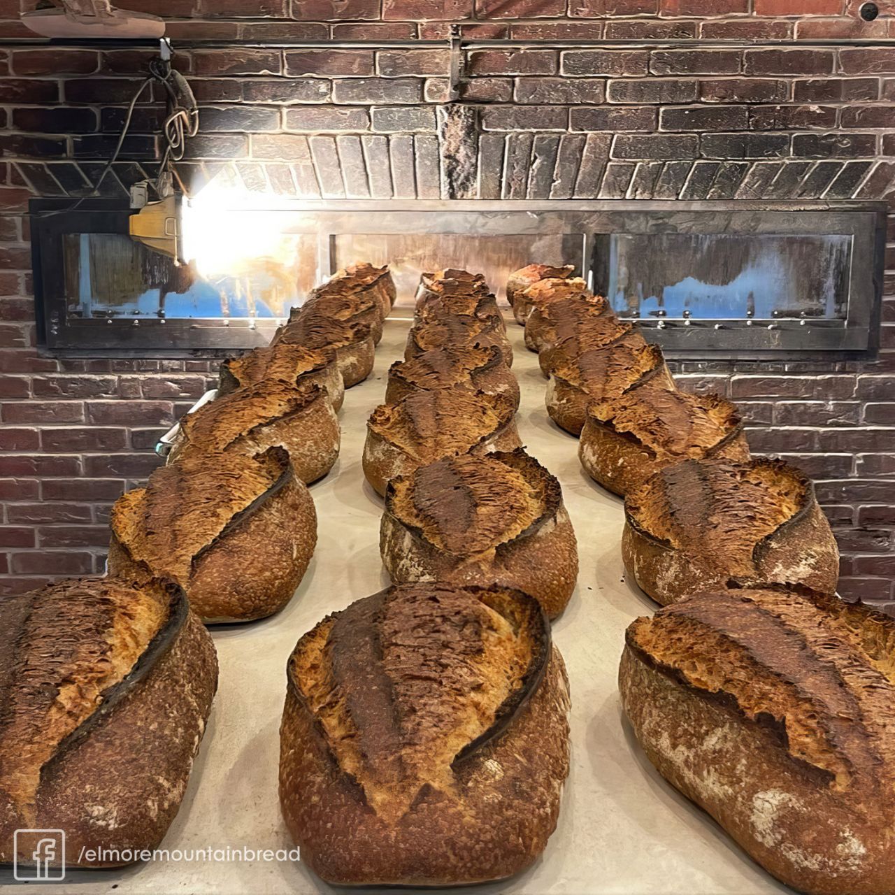 Farm-to-table bakeries that take transparency and local sourcing to the ...