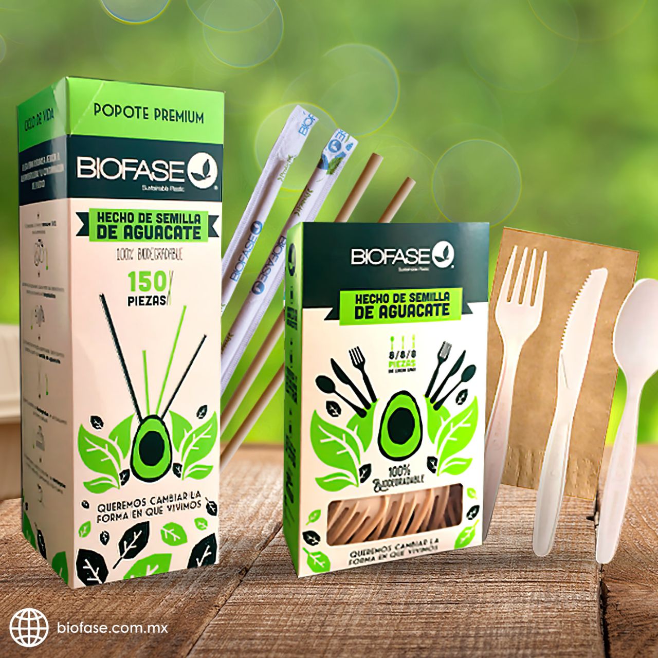 Exploring the latest trends in sustainable packaging and cutting-edge ...
