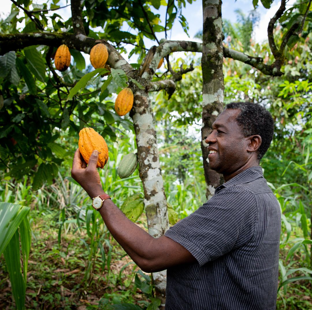 The 3 hottest chocolate trends for 2024 - Taste Tomorrow